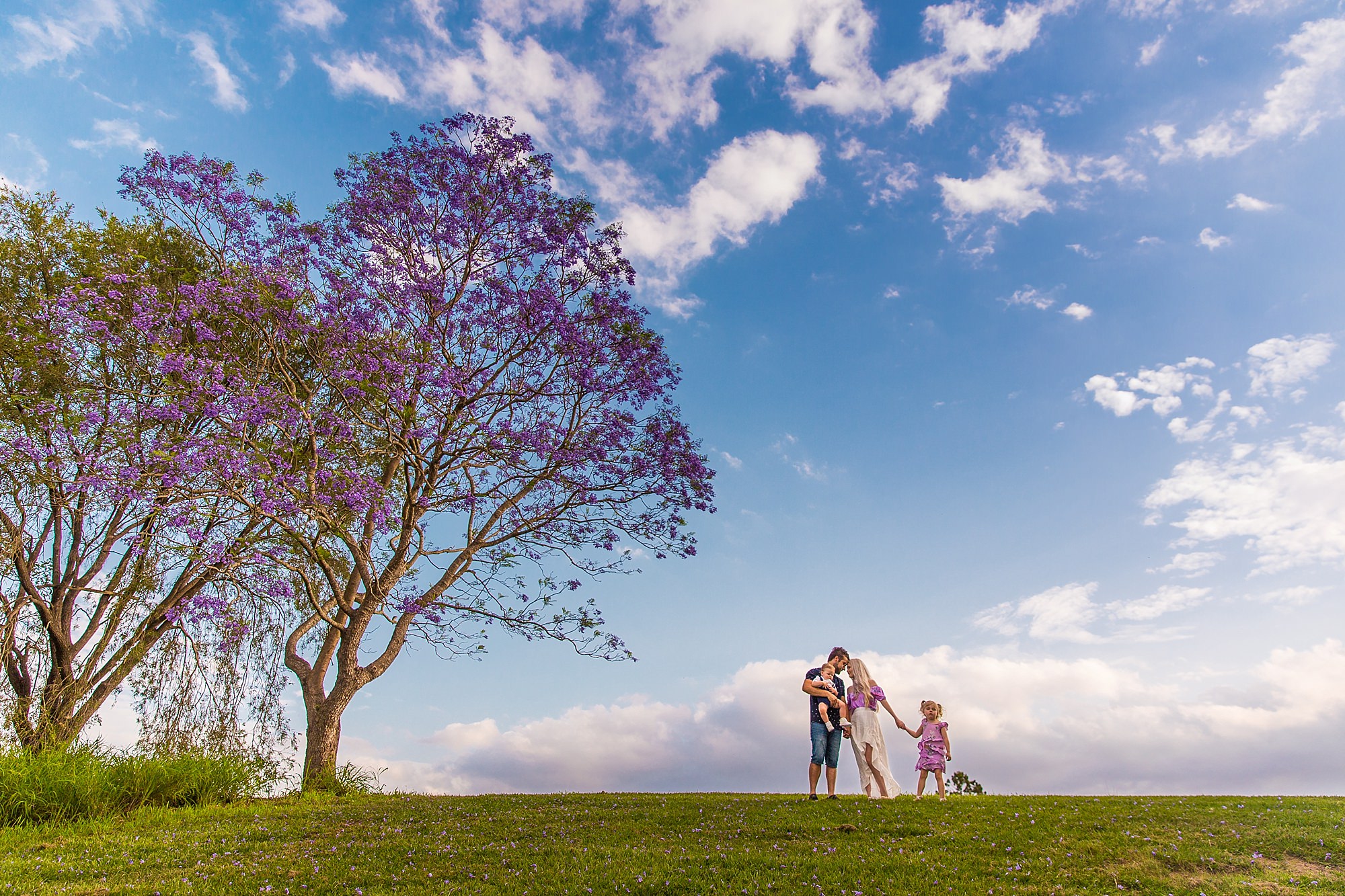 Jacaranda Season at Beryl Roberts Park | Lena + Rhys Family » Dallas ...